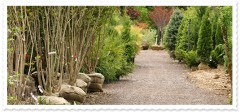 Garden Center | Main Line Gardens